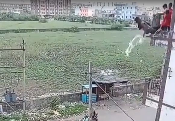 Man fell off balcony while watching dance party.